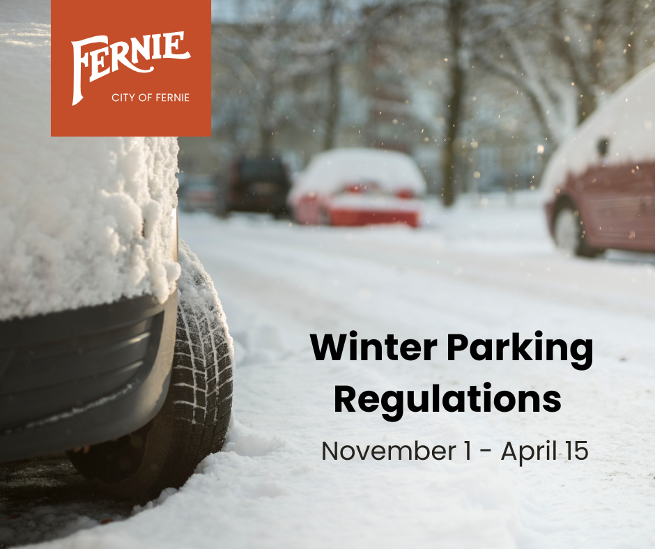 City of Fernie | Municipal Consulting Engineering Services RFP